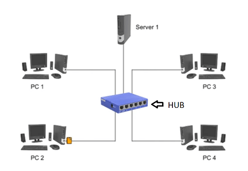 What are network Backbones? What are the four different backbone ...