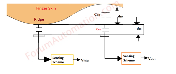 How fingerprint scanner works and how to choose the best fingerprint ...